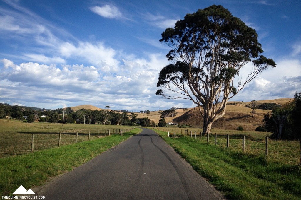 Exploring Apollo Bay and surrounds by bike - The Climbing Cyclist